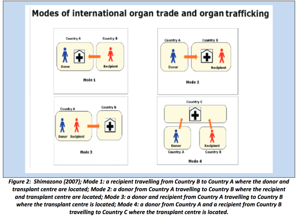 Organ Trafficking Co-Conspirators - A Worldwide Epidemic - coreysdigs.com