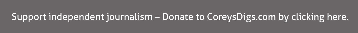 Immerse Yourself in The Moments - coreysdigs.com