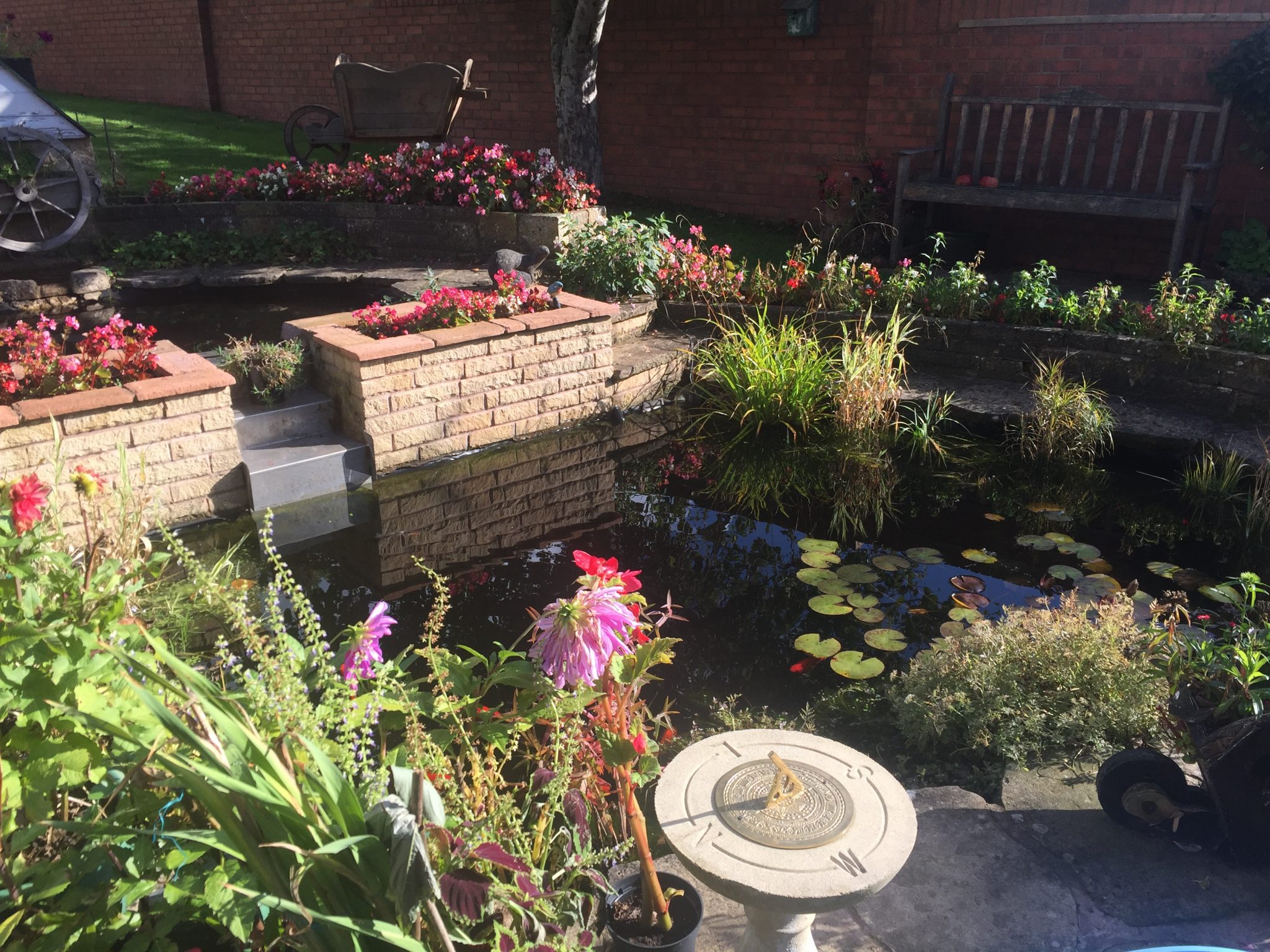 SAS Legend Gives Preppers Food For Thought - coreysdigs.com