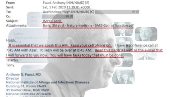 The Floodgate is Open on Fauci's Emails - coreysdigs.com