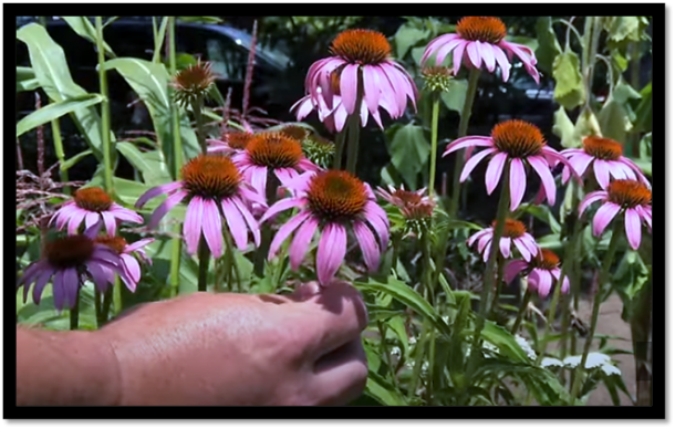 Ways to Improvise and Maximize - coreysdigs.com