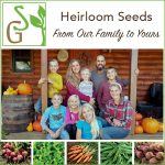 Corey's Digs Investigative Journalism: Reporting Truth